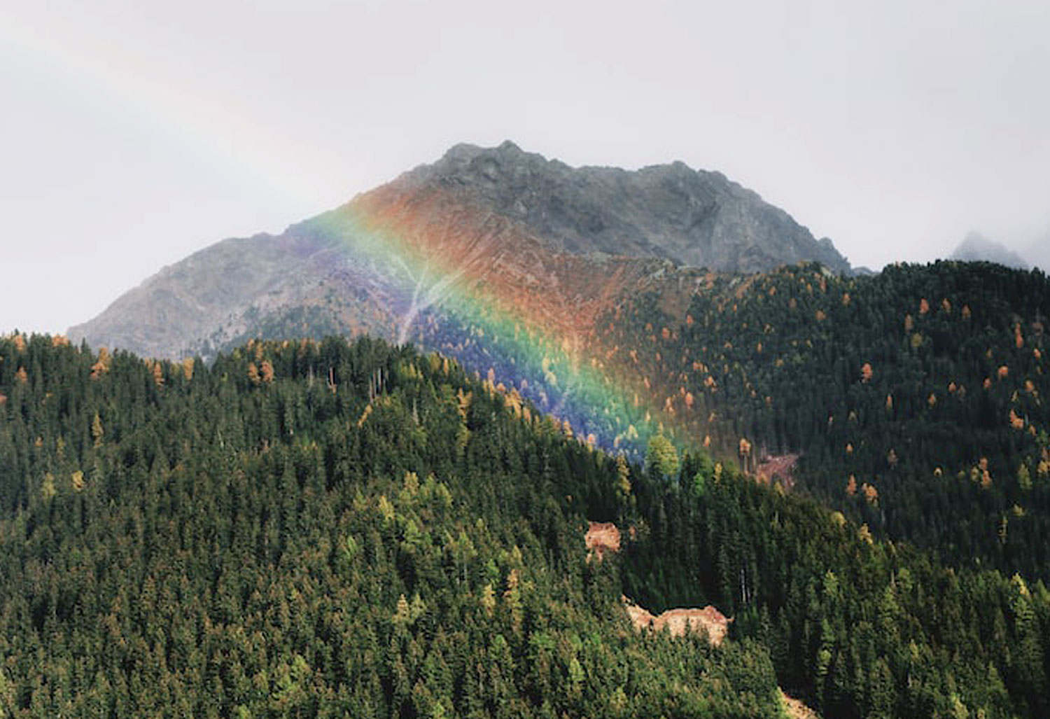 The Freedom Programme - Sharon Bryan Consultancy